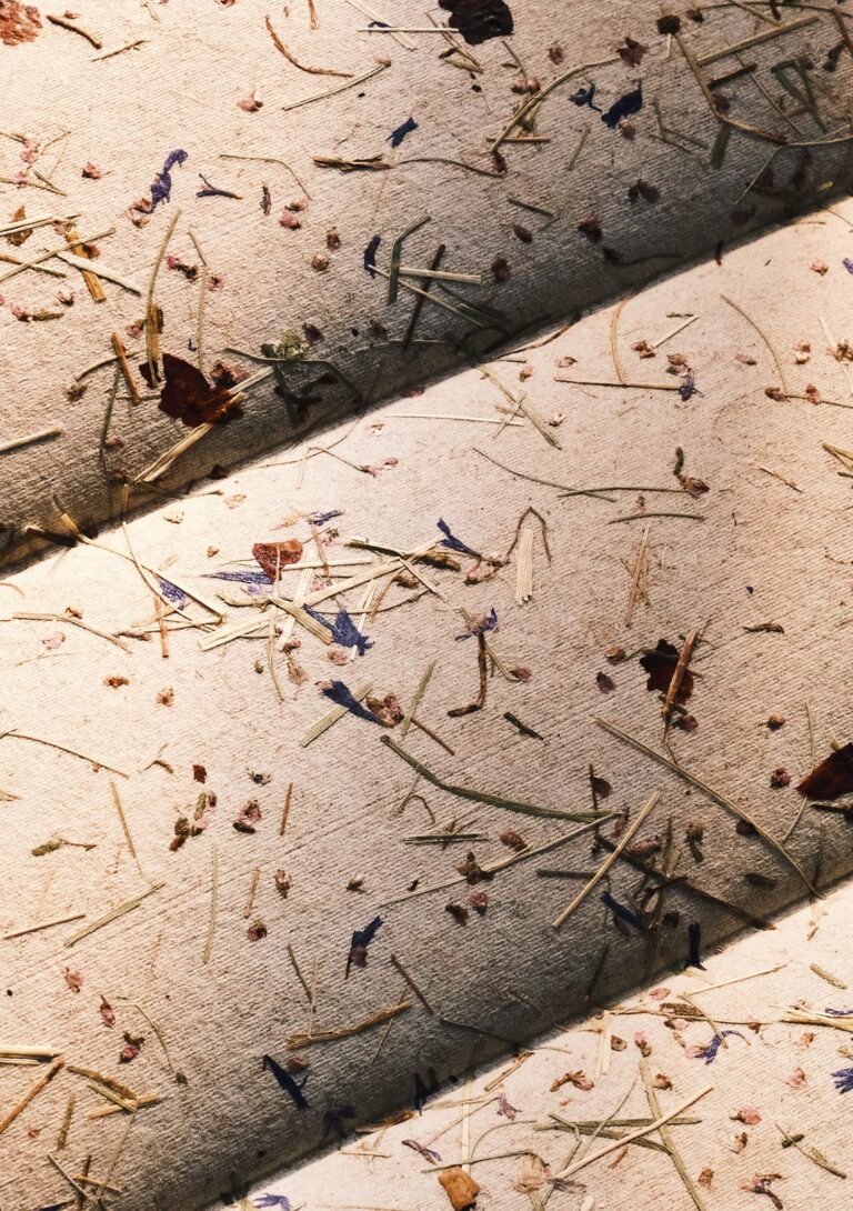 Slalom: acoustic innovation between design and regenerated materials ...